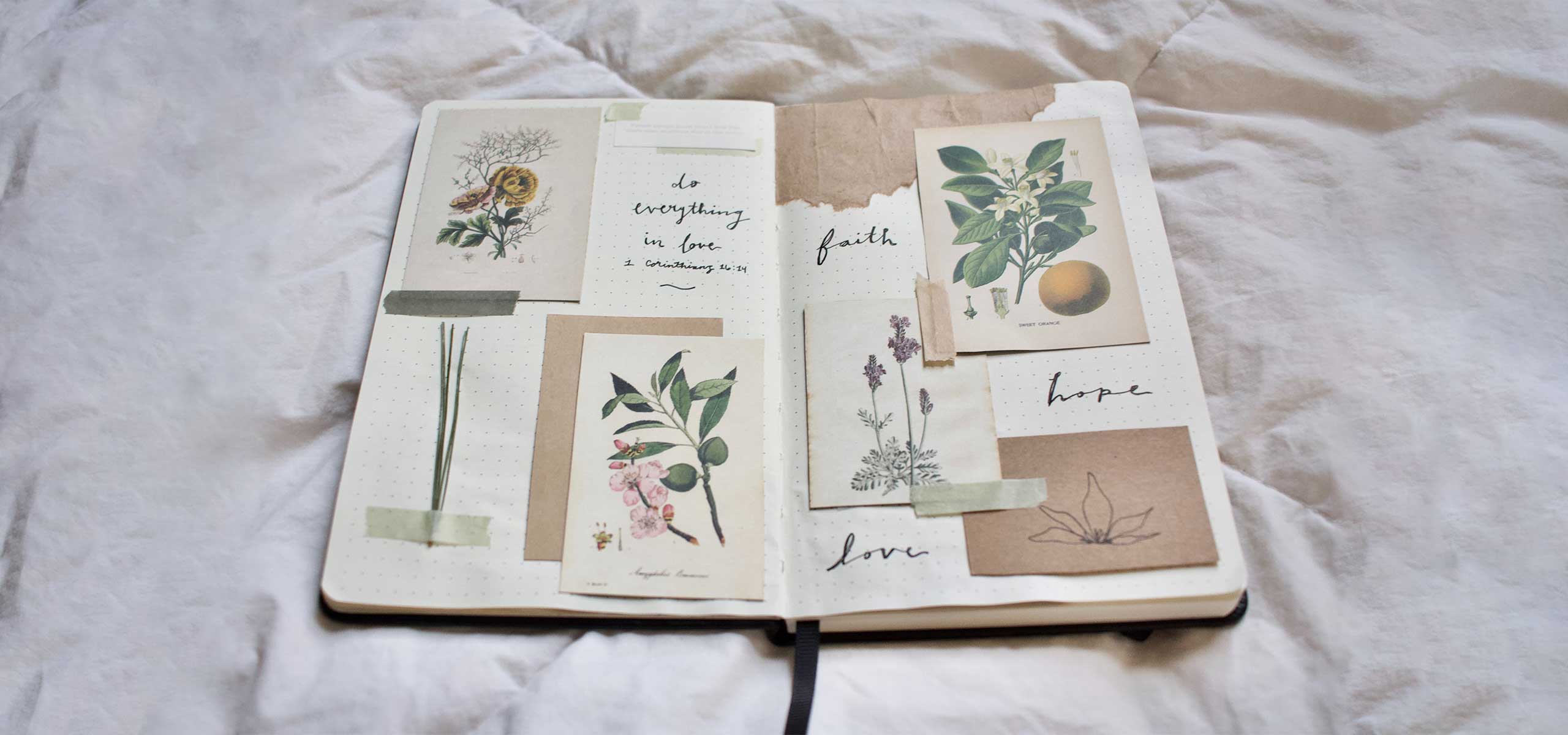 Visual Diary - All Sorted Out