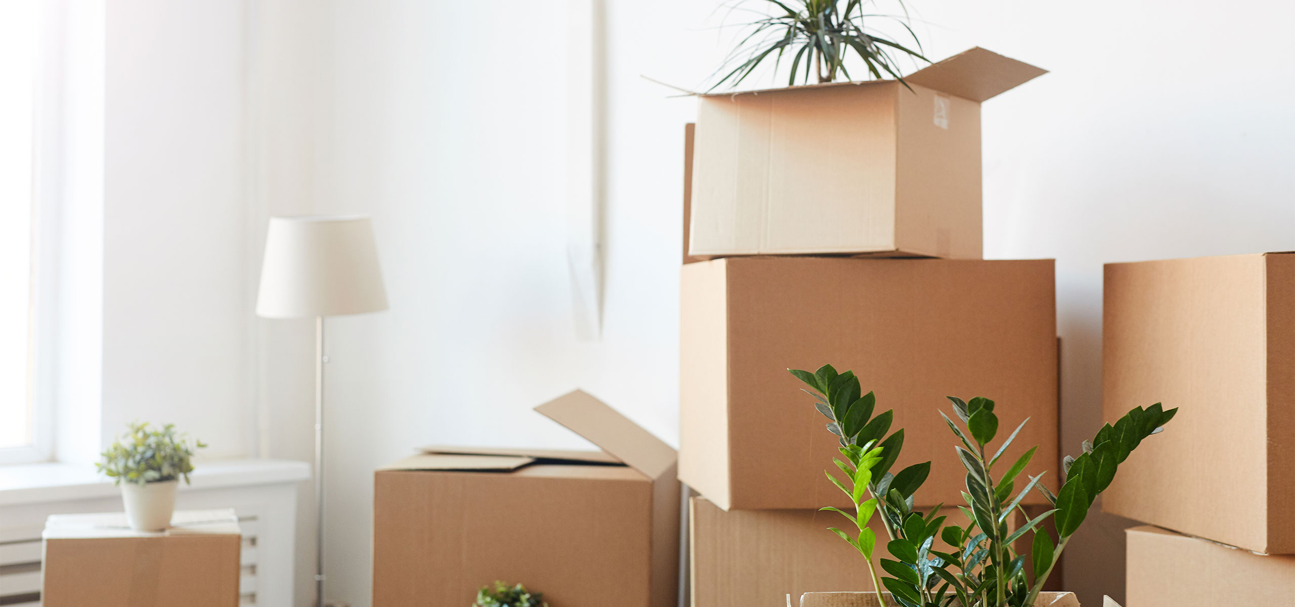 Beautiful Boxes - All Sorted Out